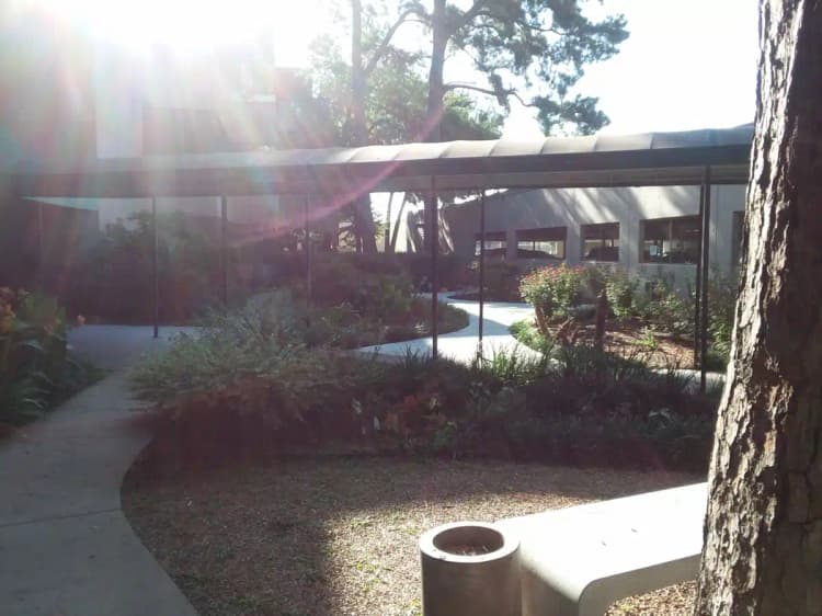 Avenue 360 Health and Wellness (Recovery Su... | Houston, TX