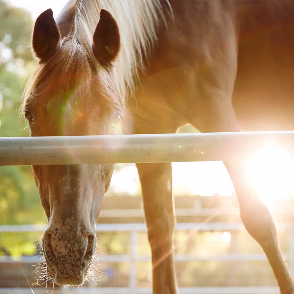 Newport Academy - 20115 Hillside | Orange, CA