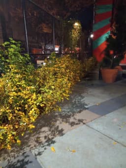 Project Renewal (The Recovery Center) | New York, NY