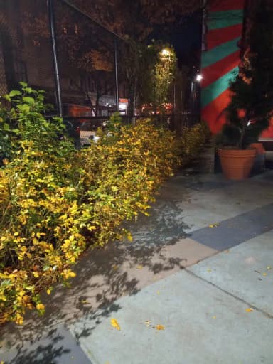 Project Renewal (The Recovery Center) | New York, NY