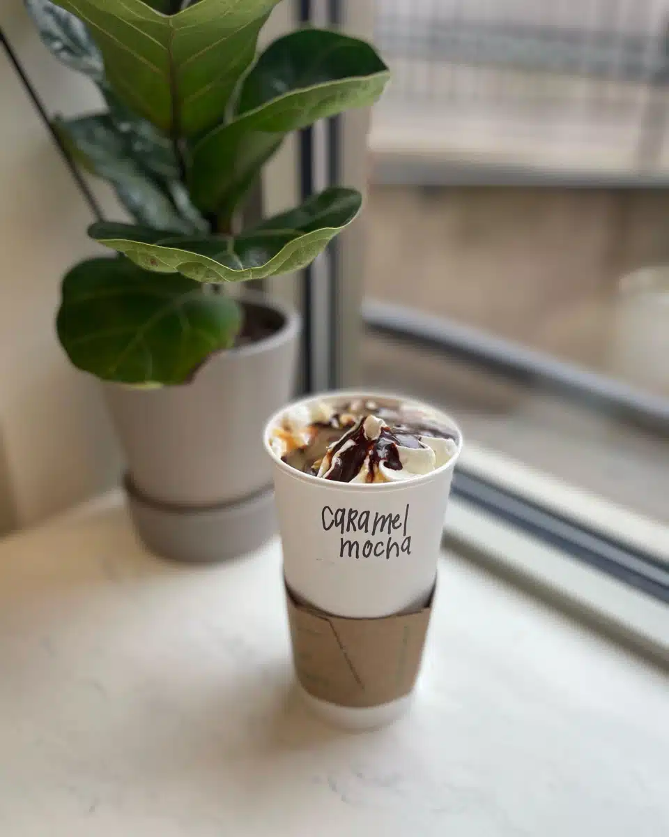 Stella Maris (Madden Center) | Cleveland, OH