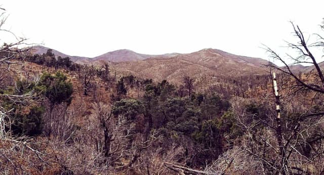 WestCare Nevada Inc (Harris Springs Ranch) | Las Vegas, NV